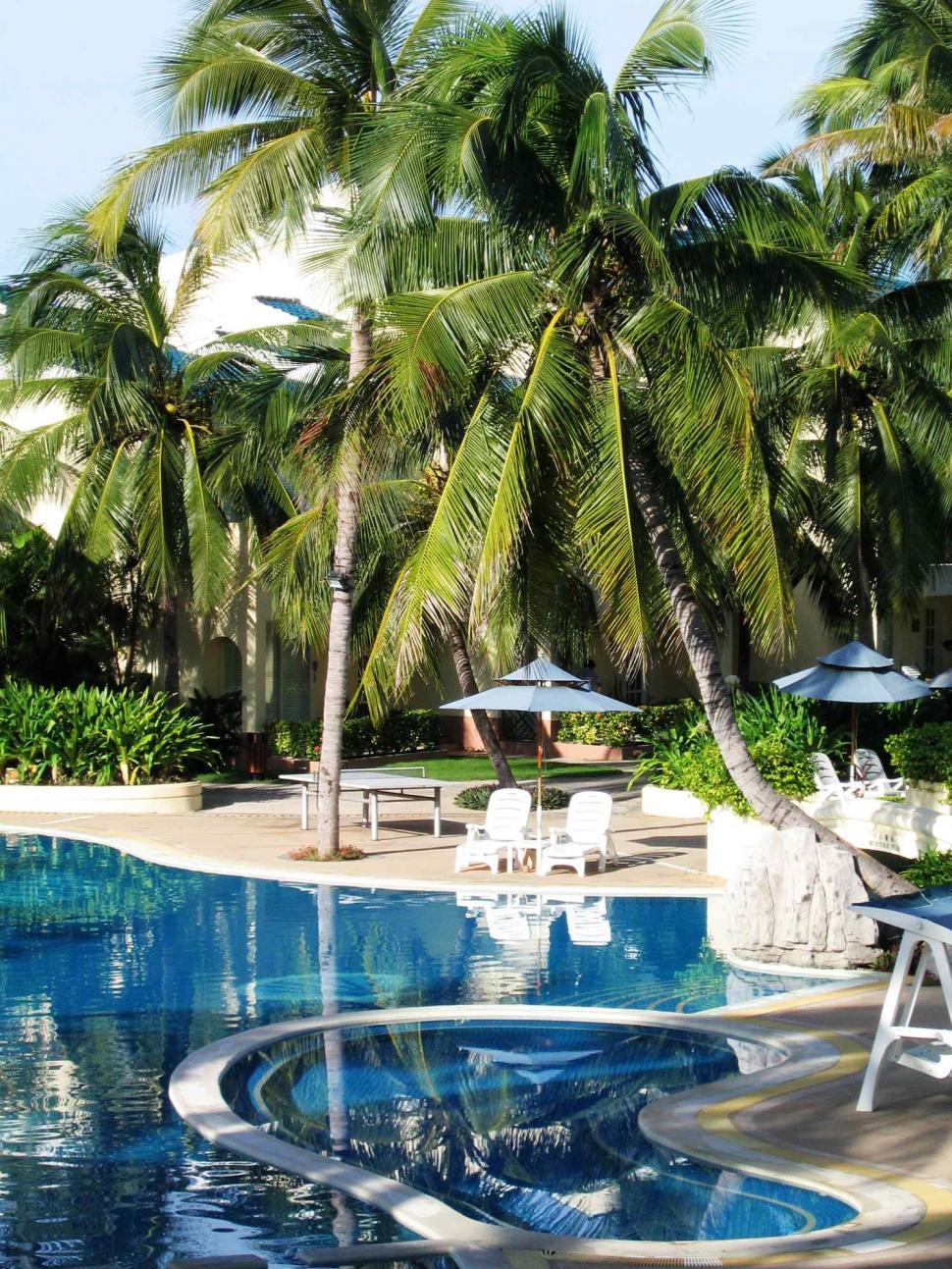 Free Stock Photo of Swimming pool | Download Free Images and Free ...