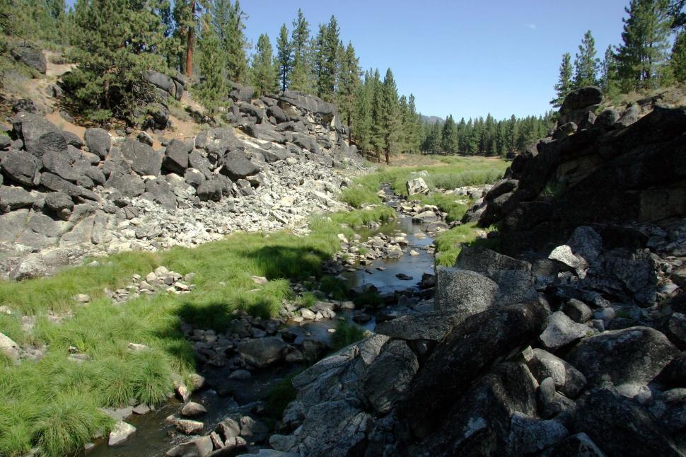 Free Stock Photo of Rocky River Running Through Forest With Trees ...