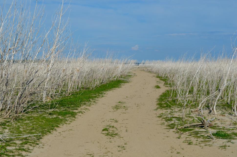 Free Stock Photo of Dirt Road Cutting Through Field | Download Free ...