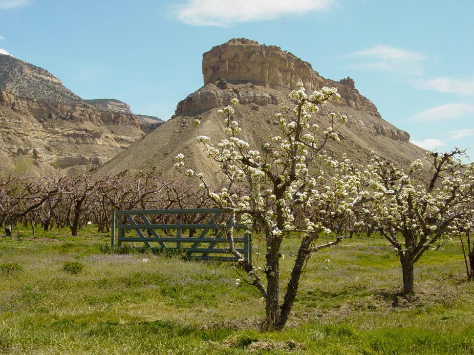 Free Stock Photo of Winery with High Plateau | Download Free Images and ...