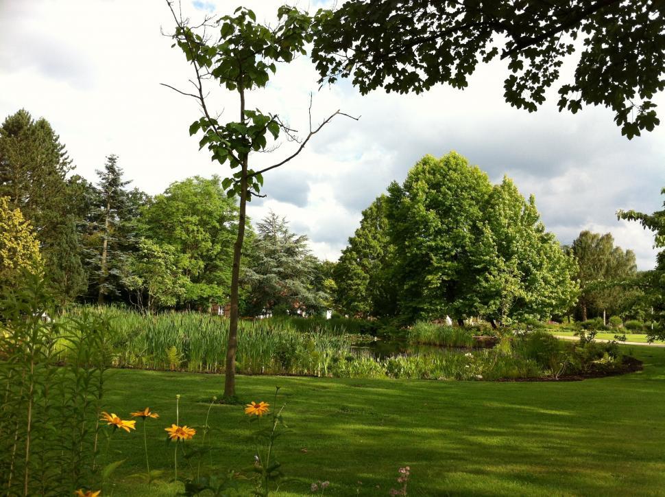 Free Stock Photo of City Park with trees and crop | Download Free ...