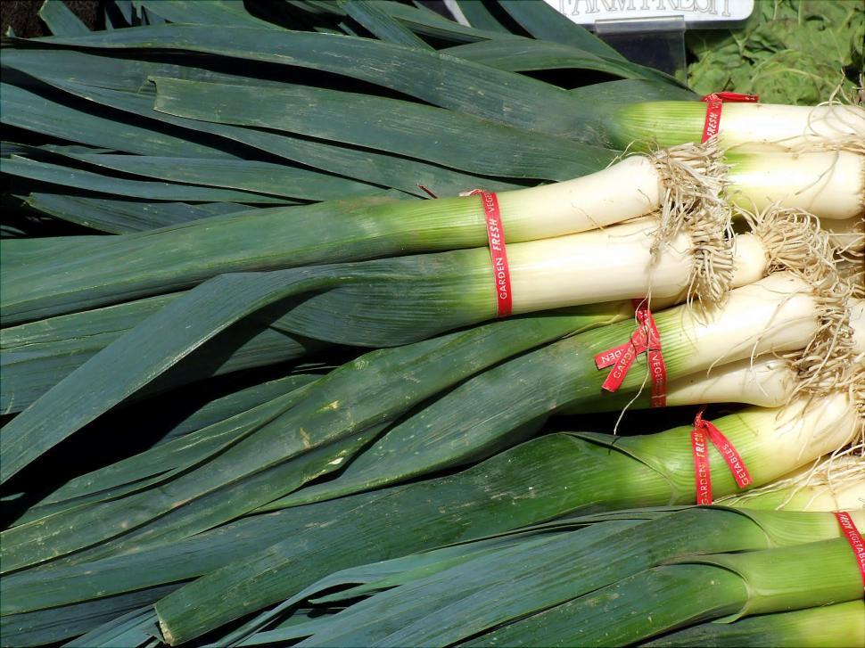 Free Stock Photo of Leeks | Download Free Images and Free Illustrations