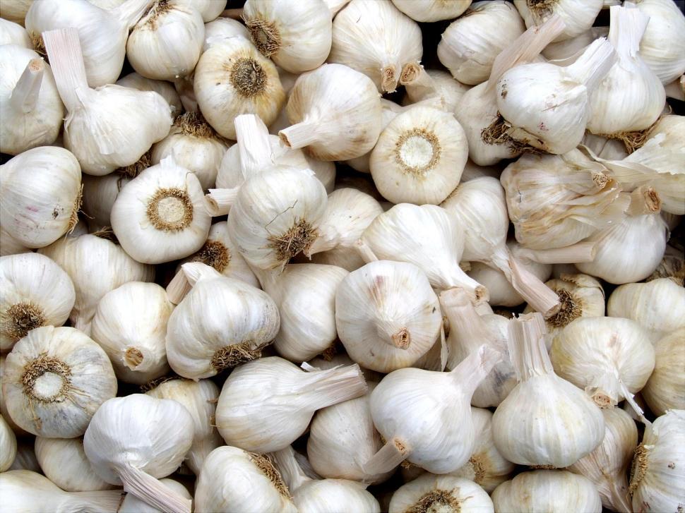 Free Stock Photo of Garlic | Download Free Images and Free Illustrations