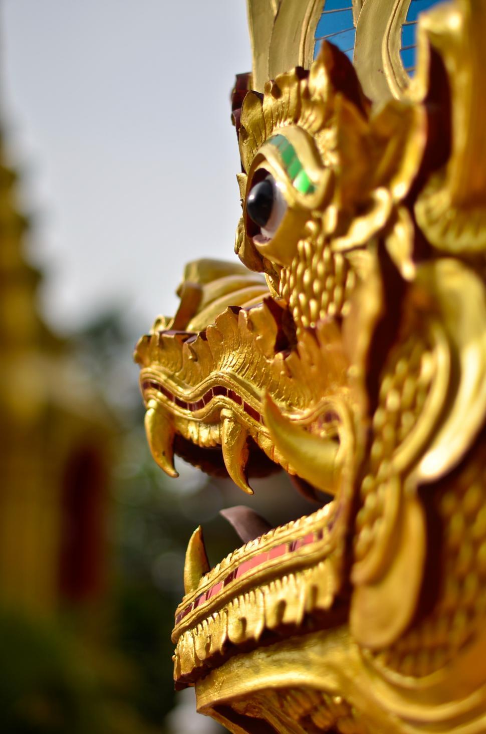 Free Stock Photo of Face of Dragon | Download Free Images and Free ...
