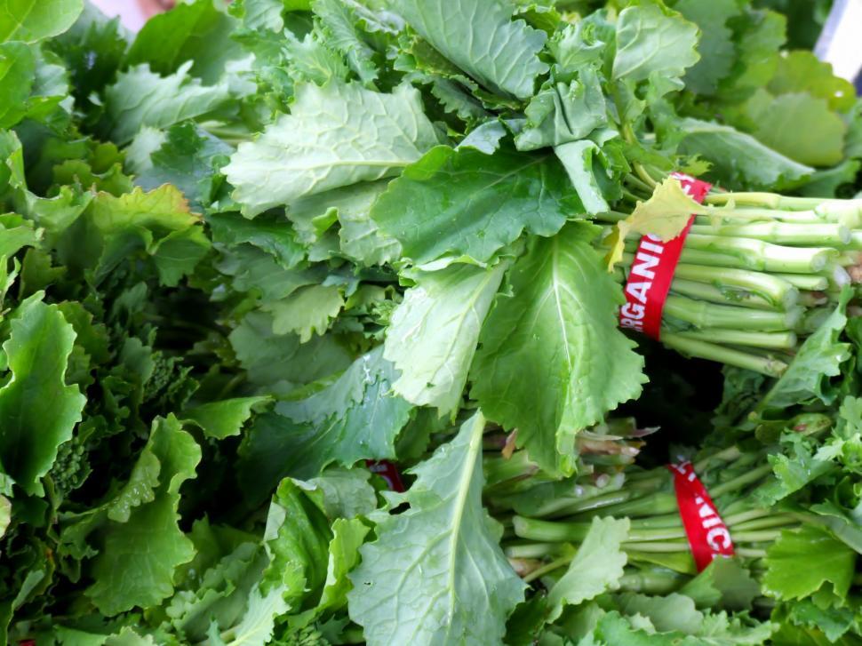 Free Stock Photo of Rapini | Download Free Images and Free Illustrations