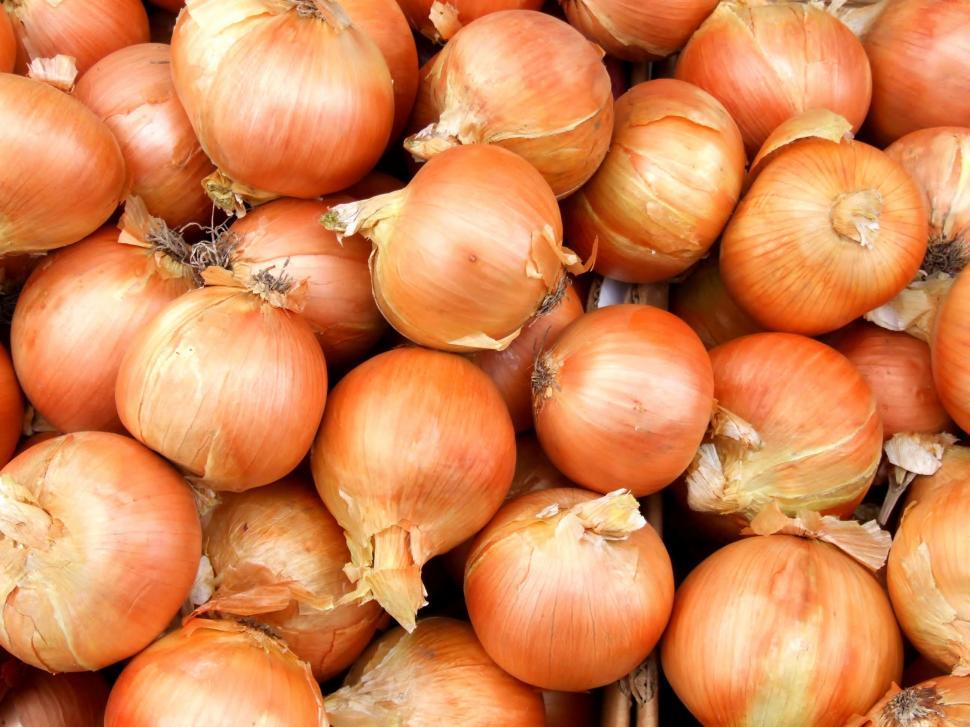 Free Stock Photo of Onions | Download Free Images and Free Illustrations