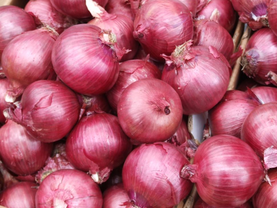 Free Stock Photo of Onions | Download Free Images and Free Illustrations