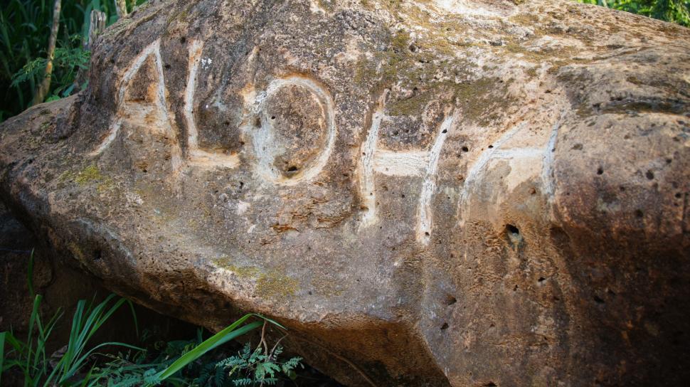 Free Stock Photo of Aloha | Download Free Images and Free Illustrations