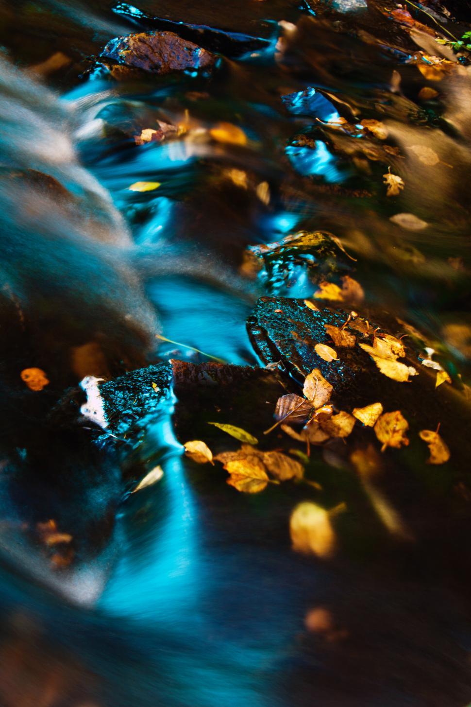 Free Stock Photo of Autumn Stream | Download Free Images and Free ...
