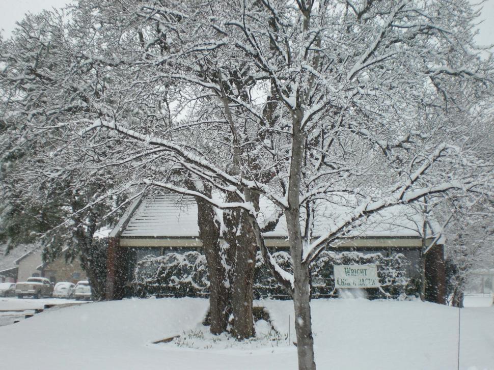 Free Stock Photo of snow at the office | Download Free Images and Free ...