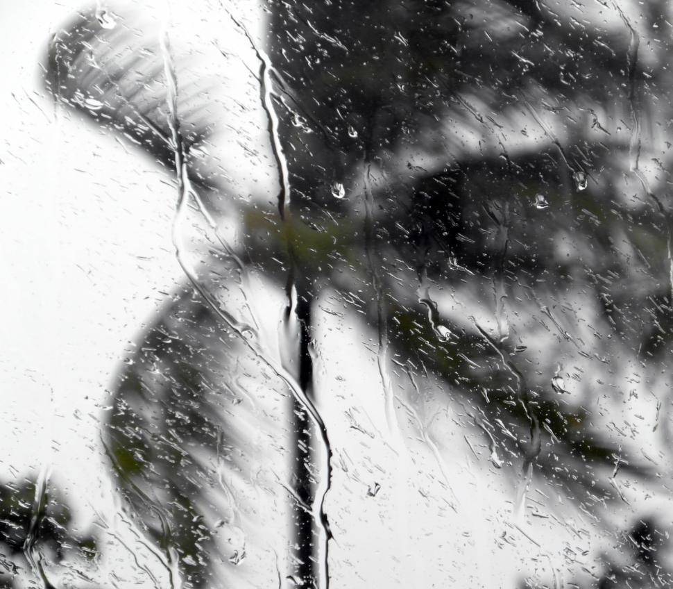 Free Stock Photo of Tropical Storm Window Raindrops | Download Free ...