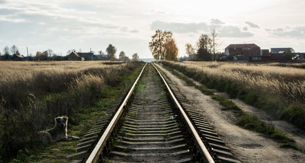 Free Stock Photo of Railway. | Download Free Images and Free Illustrations