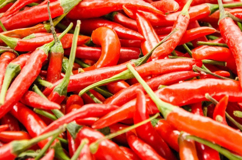 Free Stock Photo of Local Thai Chilli | Download Free Images and Free ...