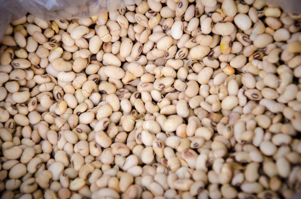 Free Stock Photo of Local Thai Bean | Download Free Images and Free ...