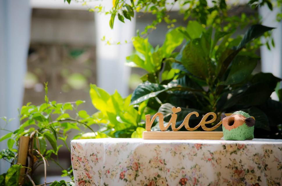 Free Stock Photo of Nice | Download Free Images and Free Illustrations