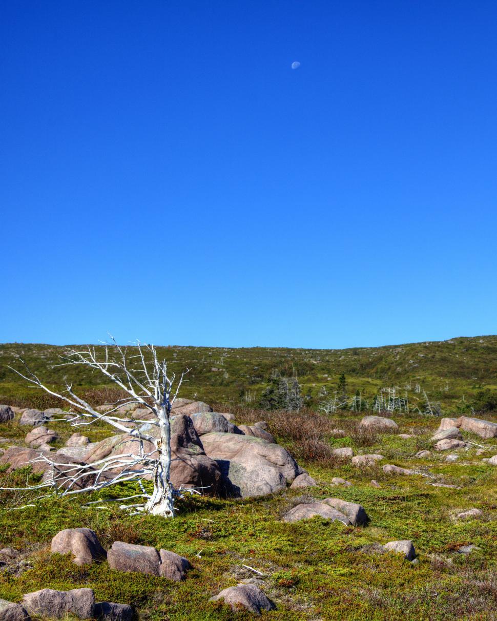 Free Stock Photo of Landscape | Download Free Images and Free Illustrations