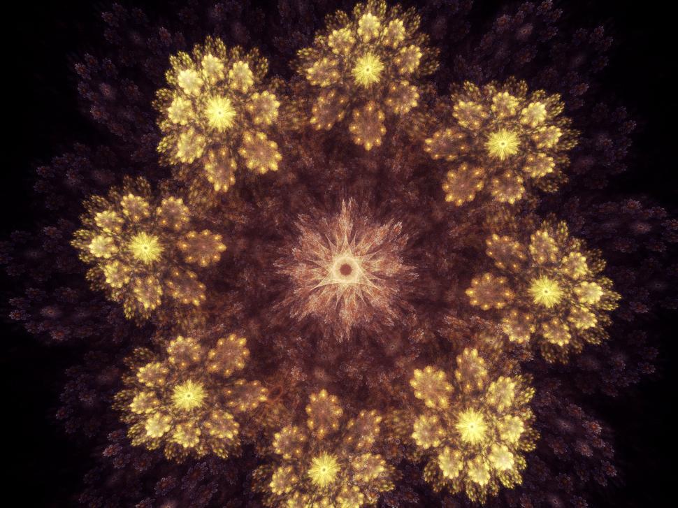 Free Stock Photo of Fractal flower | Download Free Images and Free ...