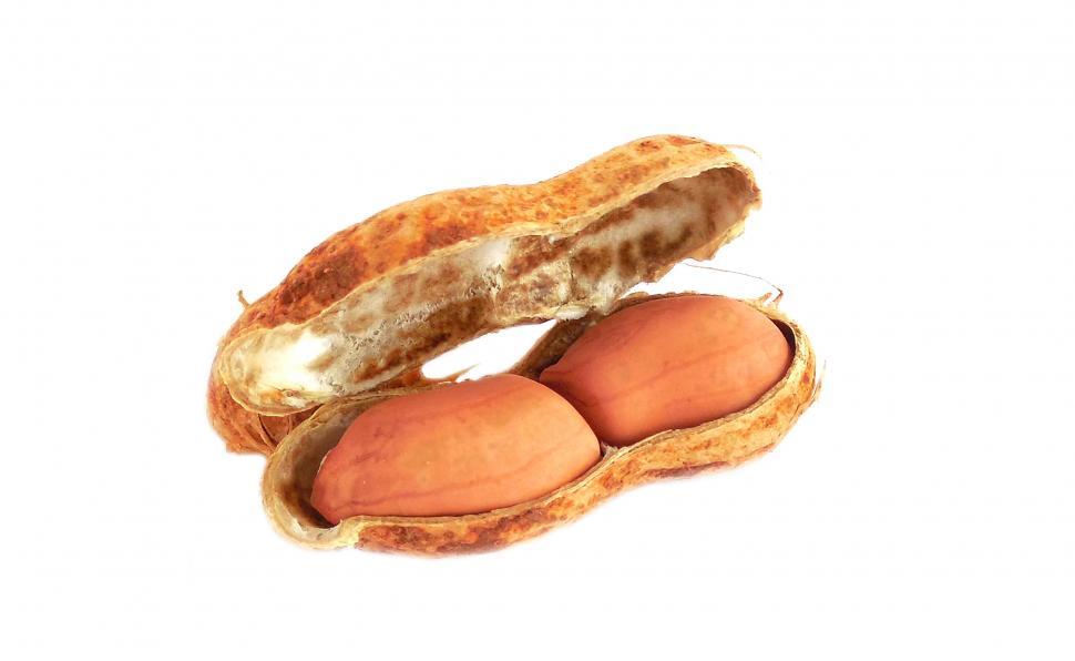 Free Stock Photo of Peanut | Download Free Images and Free Illustrations