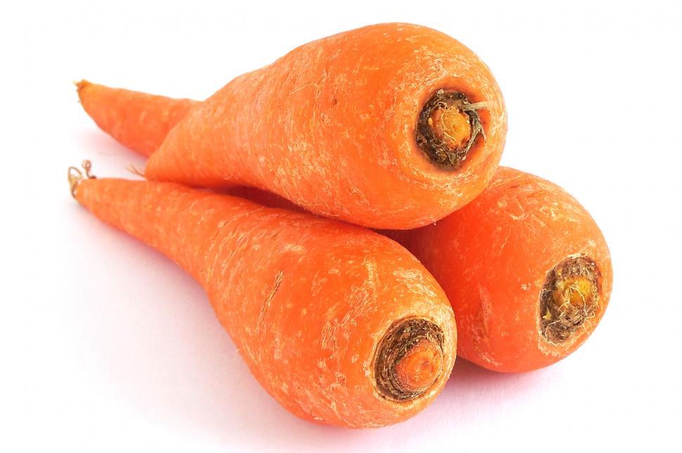 Free Stock Photo of Carrot | Download Free Images and Free Illustrations
