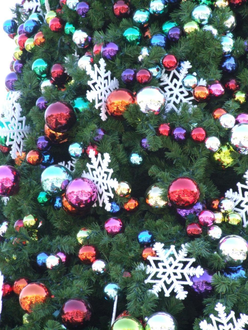 Free Stock Photo of Christmas | Download Free Images and Free Illustrations