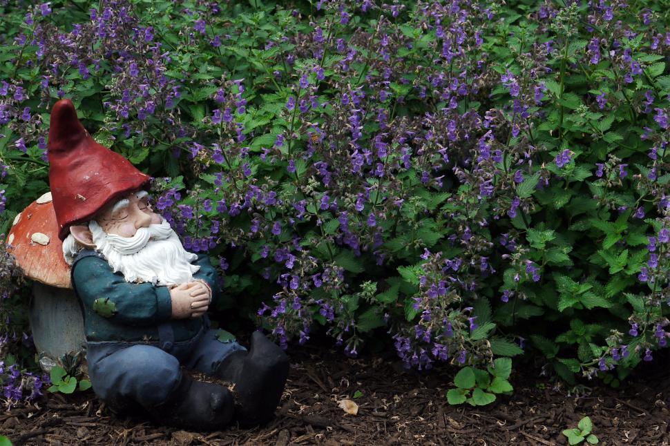 Free Stock Photo of Gnome Sleeping | Download Free Images and Free ...