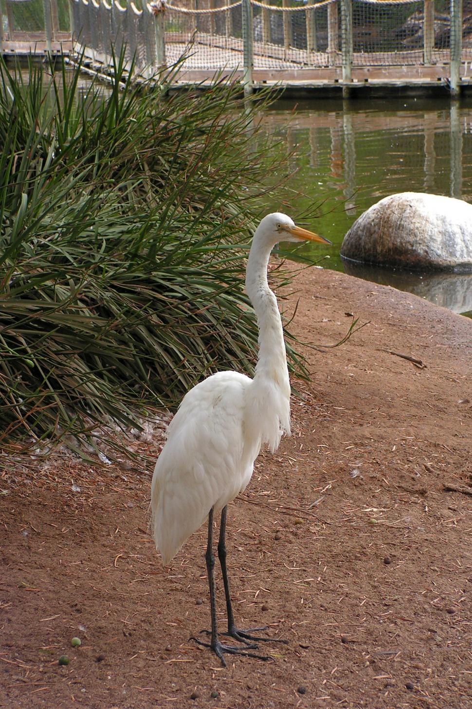 Free Stock Photo of Crane | Download Free Images and Free Illustrations