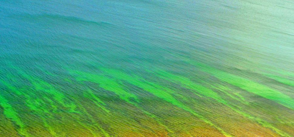 Free Stock Photo of Beautiful natural pattern - ocean ripples as seen ...