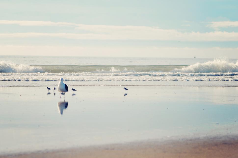 Free Stock Photo of Beach | Download Free Images and Free Illustrations