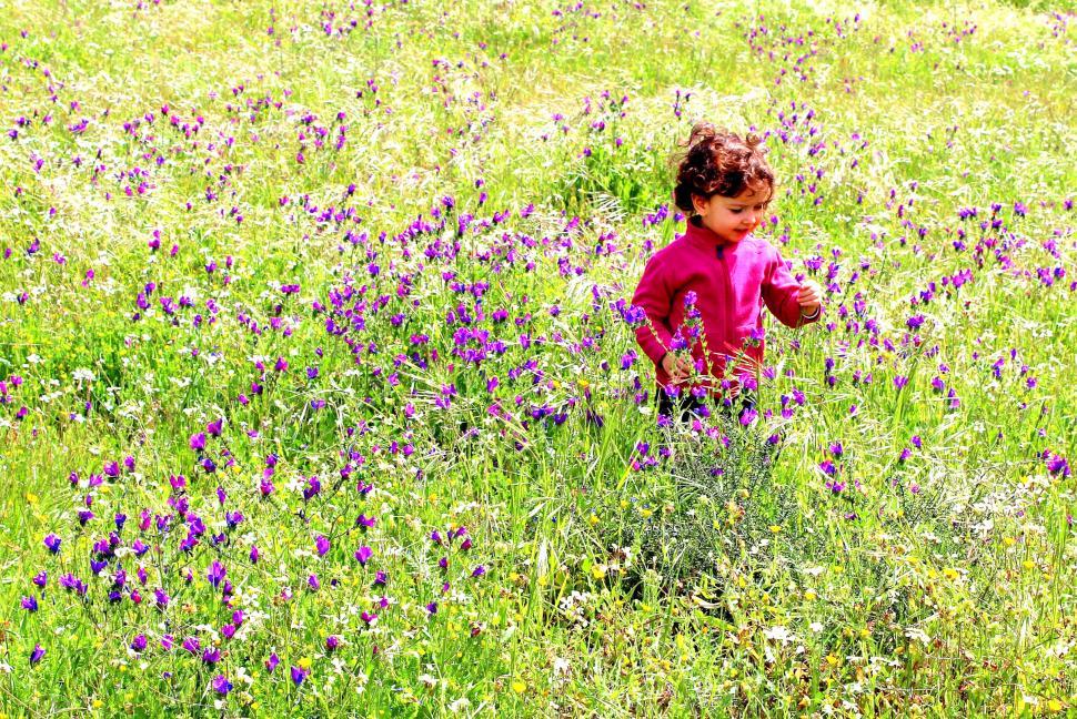 Free Stock Photo of Sweet little child in a meadow with wild purple ...