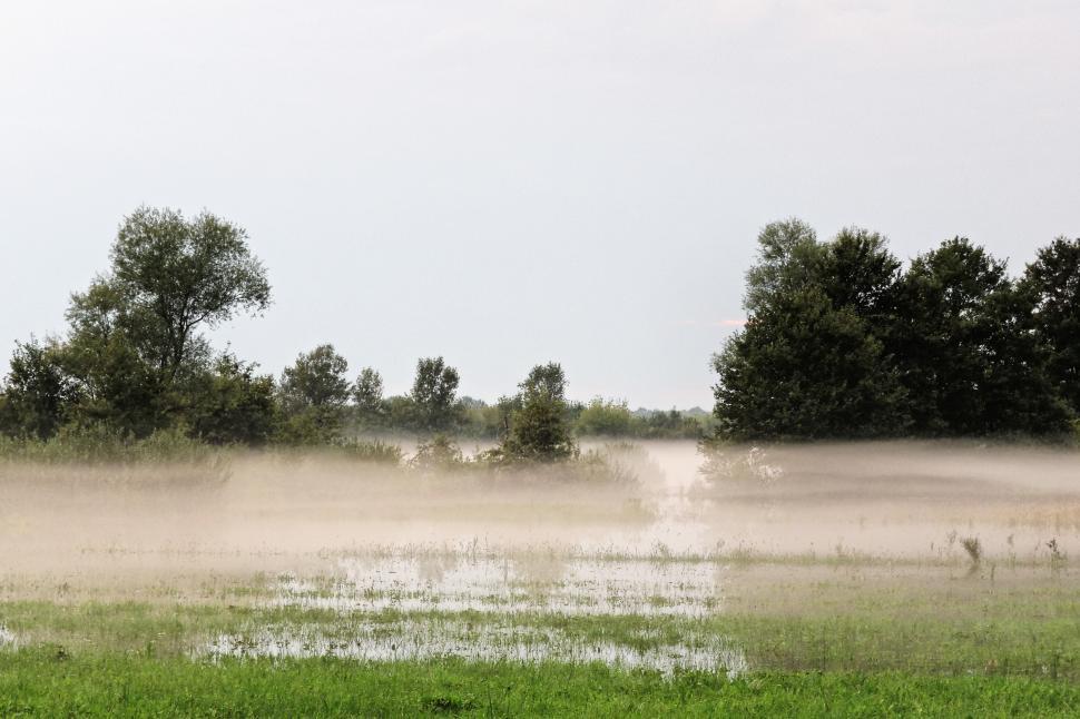 Free Stock Photo of The fog | Download Free Images and Free Illustrations