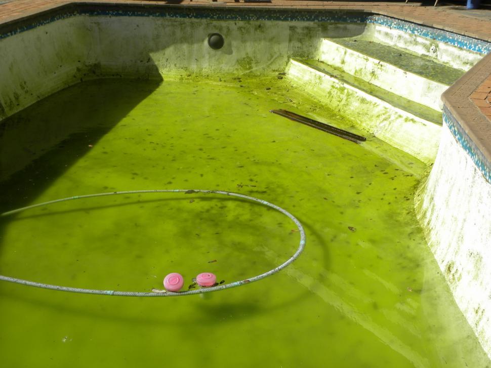 Free Stock Photo of Dirty Pool | Download Free Images and Free ...