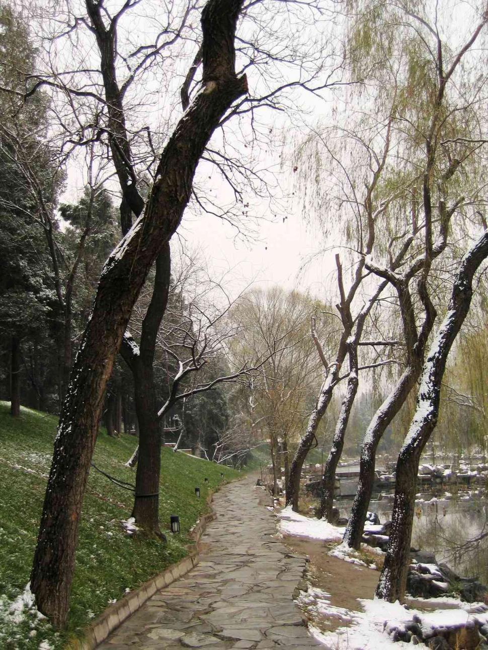 Free Stock Photo of Path | Download Free Images and Free Illustrations