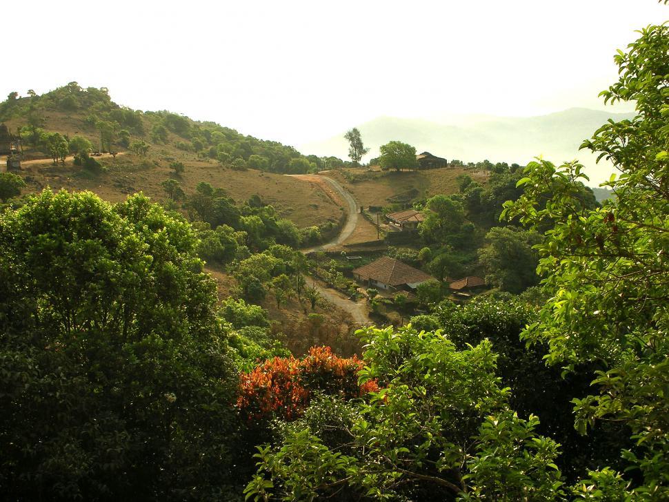 Free Stock Photo of Nature | Download Free Images and Free Illustrations