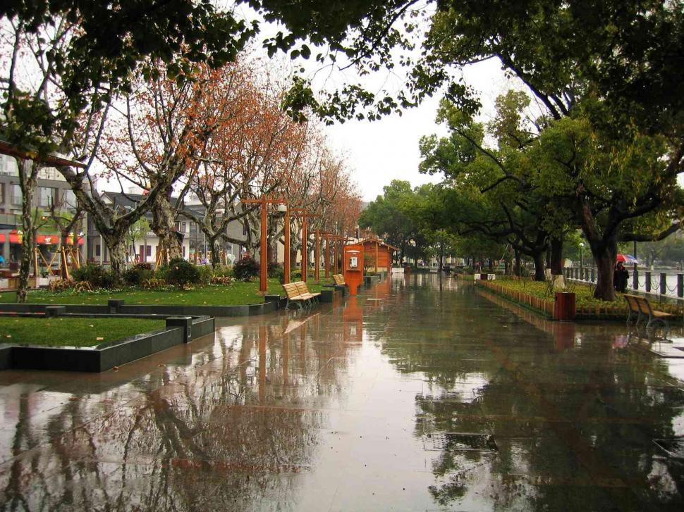 Free Stock Photo of Park in rain | Download Free Images and Free ...