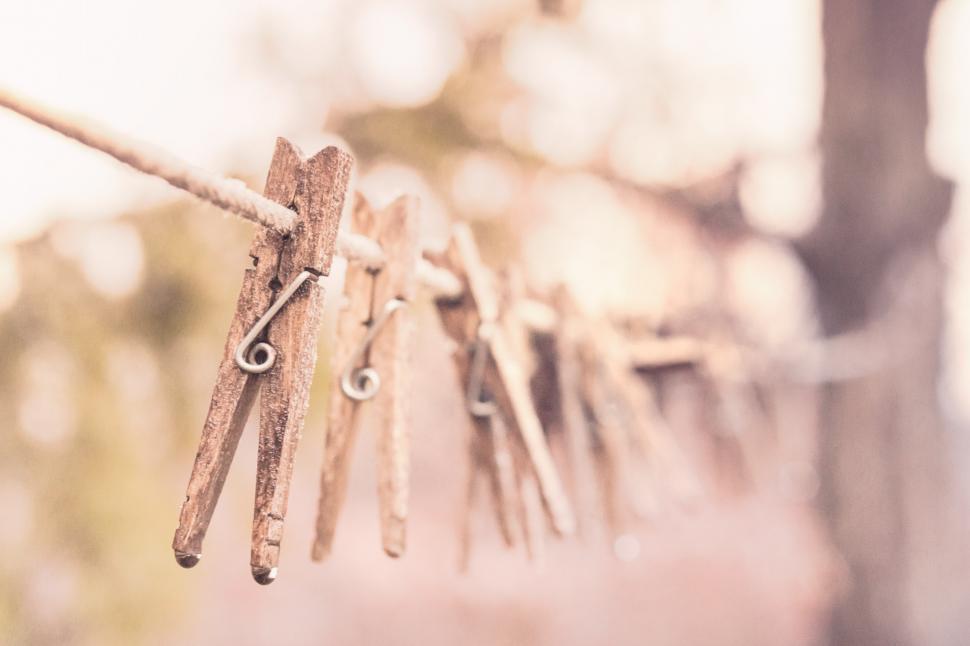 Free Stock Photo of Wooden Cloth Pegs | Download Free Images and Free ...