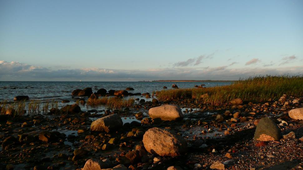 Free Stock Photo of Rocky Beach With Rocks and Grass on the Shore ...