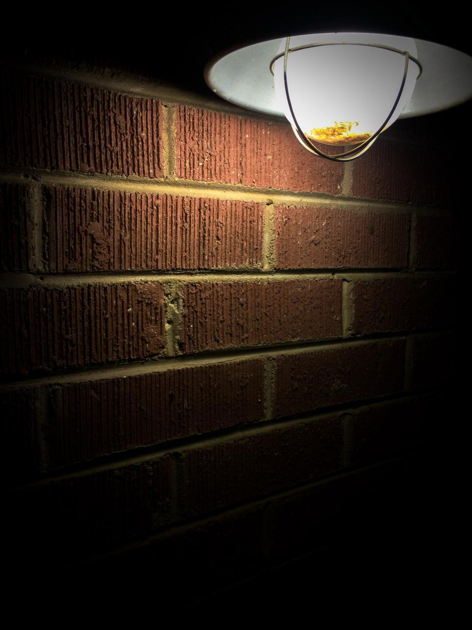 Free Stock Photo of Electric Bulb Light | Download Free Images and Free ...