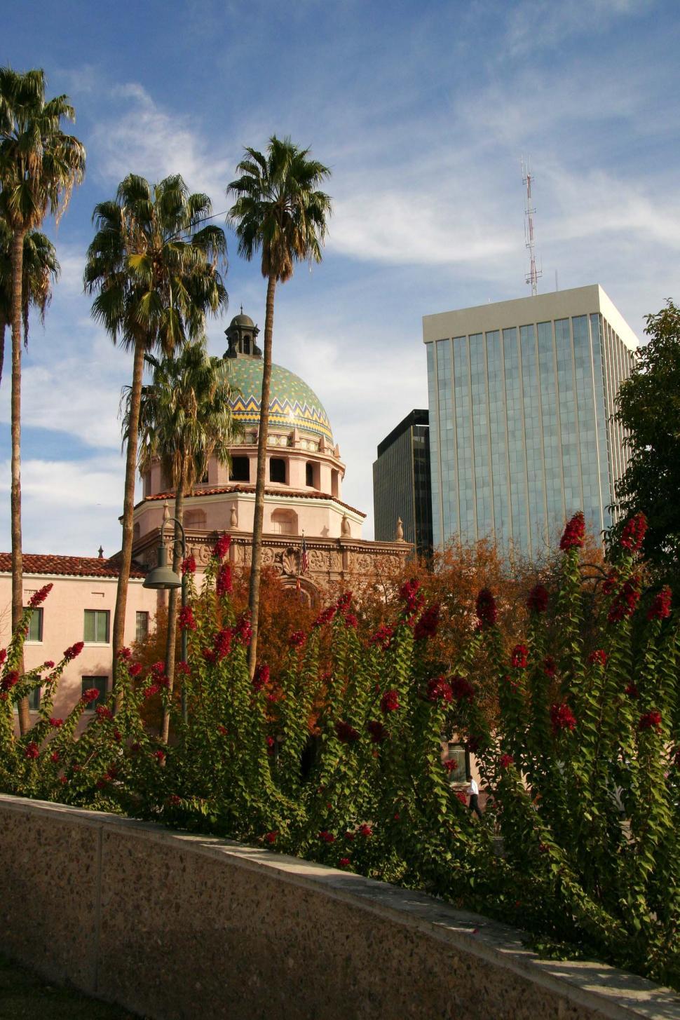 Free Stock Photo of Tucson El Presidio Park | Download Free Images and ...