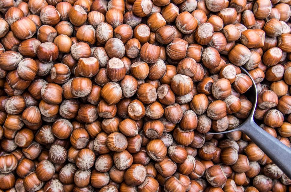 Free Stock Photo of Hazelnuts pattern background texture | Download ...