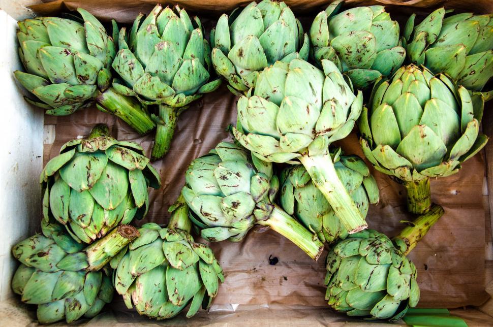 Free Stock Photo of artichoke | Download Free Images and Free Illustrations