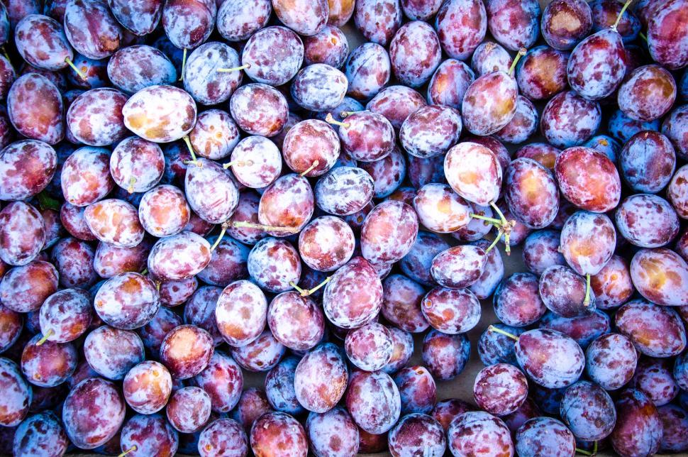 Free Stock Photo of Purple prunes | Download Free Images and Free ...