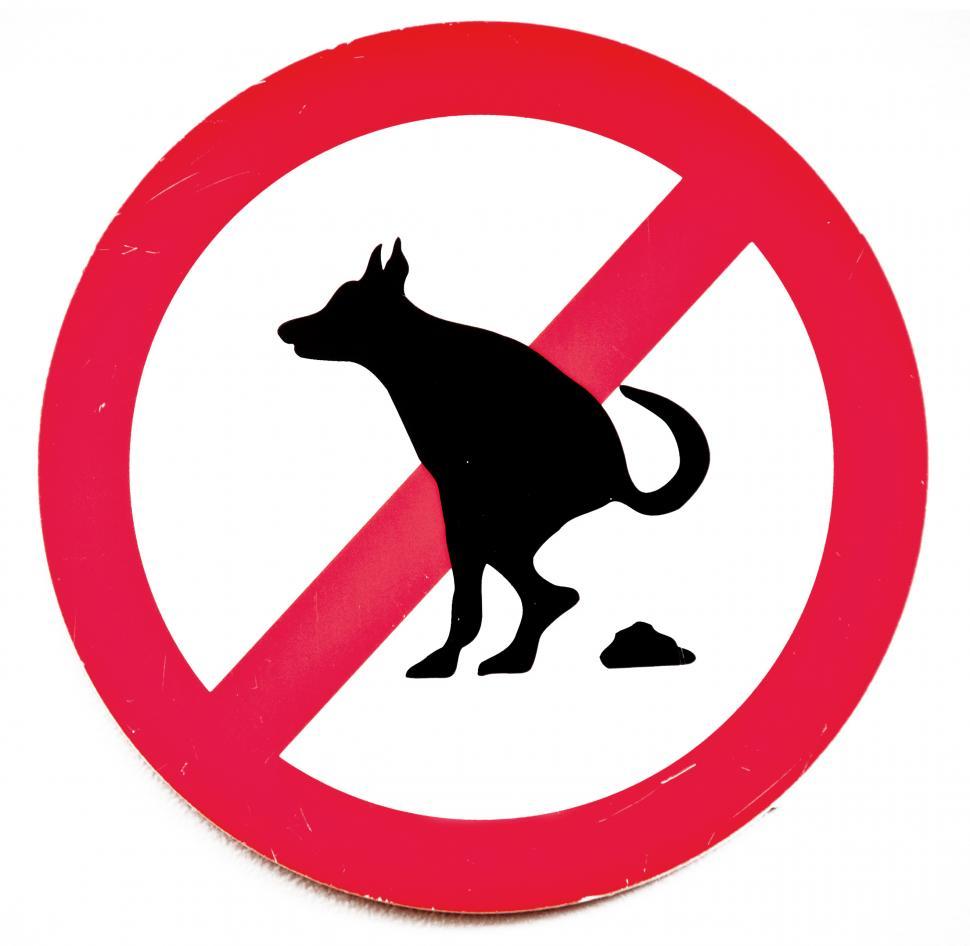 Free Stock Photo Of No Dog Poop Sign Download Free Images And Free Free Stock Photo Of No Dog Poop Sign Download Free Images And Free