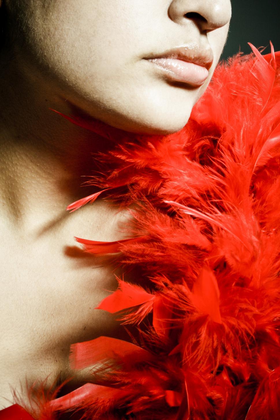 Free Stock Photo of Glamour portrait | Download Free Images and Free ...