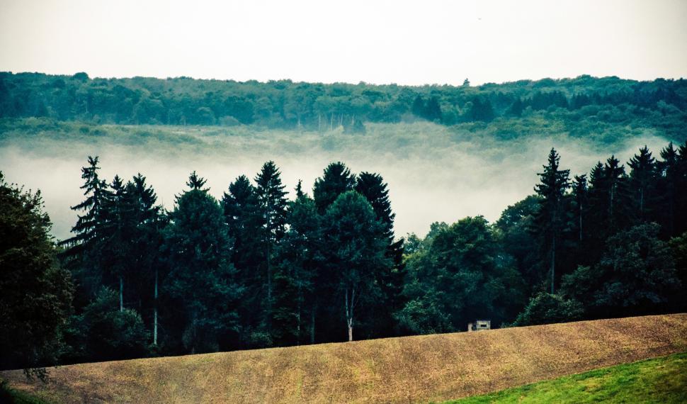 Free Stock Photo of Mist landscape | Download Free Images and Free ...