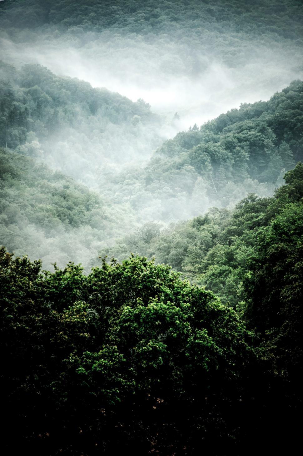 Free Stock Photo of Mist landscape | Download Free Images and Free ...