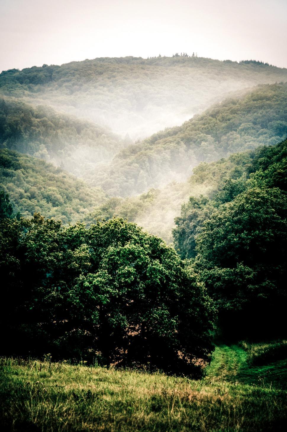 Free Stock Photo of Mist landscape | Download Free Images and Free ...