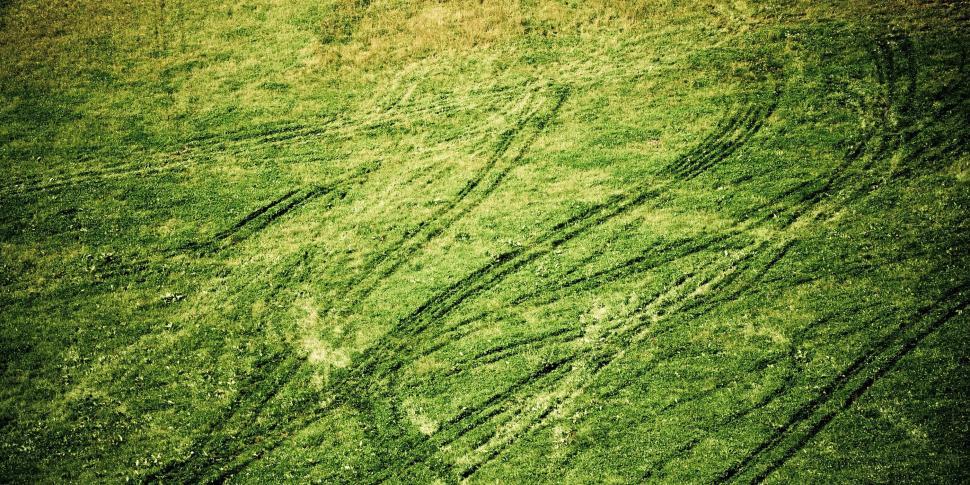 Free Stock Photo of Grass tracks | Download Free Images and Free ...
