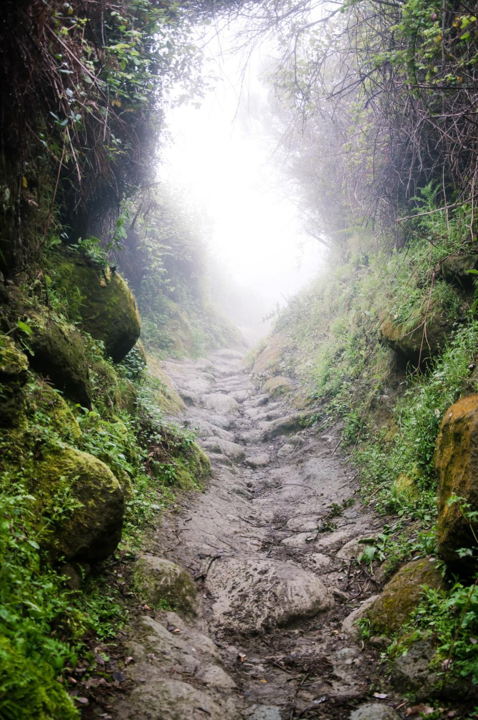 Free Stock Photo of misty path through mounting trail | Download Free ...