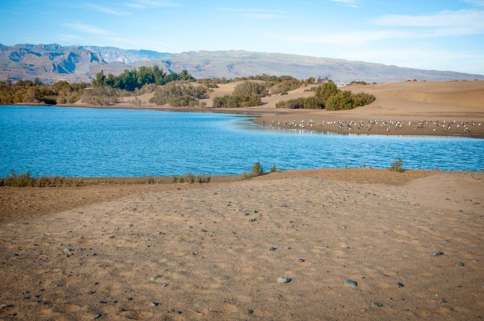 Free Stock Photo of Dune landscape | Download Free Images and Free ...