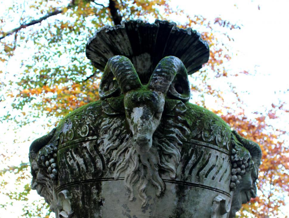 Free Stock Photo of Head of a goat in an old vase | Download Free ...